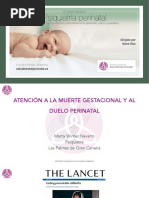 Mortinato y Óbito Fetal: Definiciones y Causas | PDF | Dolor | El embarazo