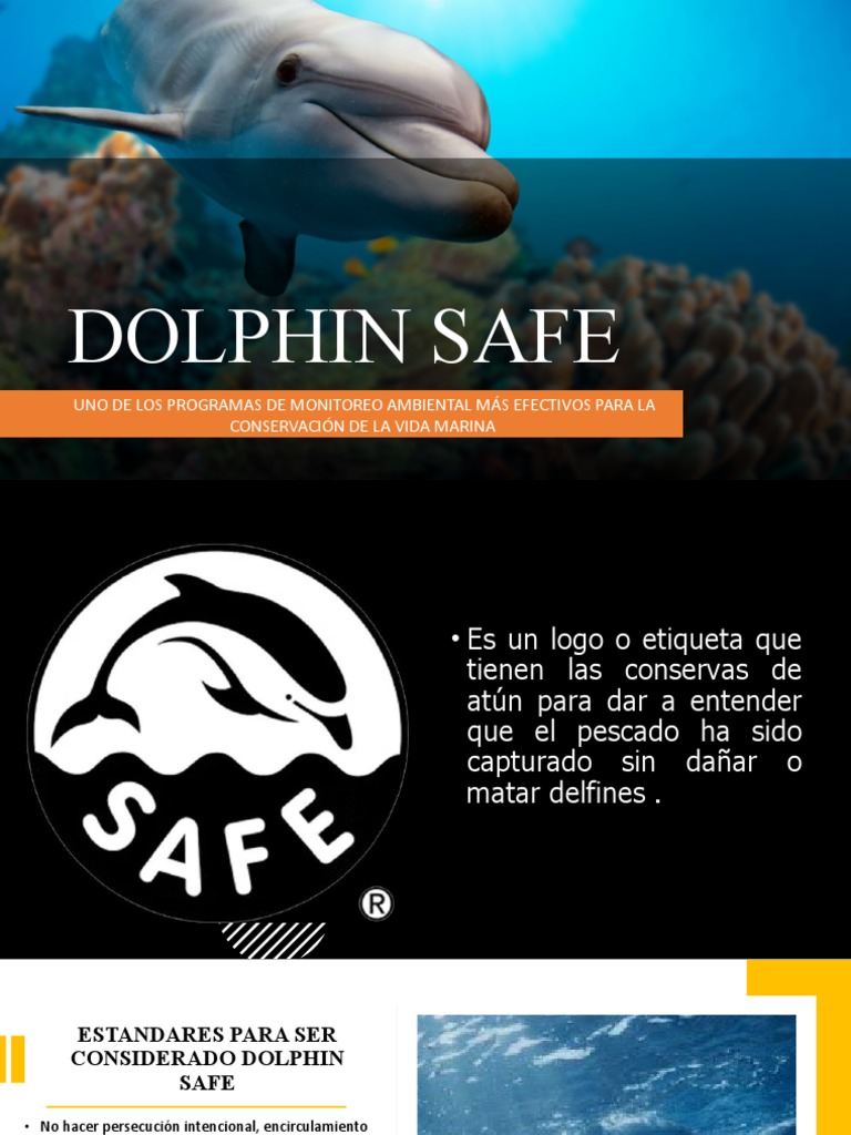 Dolphin Safe | PDF | Tiburones | Barcos