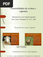 Ciclo de Vida de La Vaca | PDF | Vacas | Leche