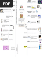 Modelos y Teorías de Enfermería - Lydia Hall | PDF | Enfermería | Medicina