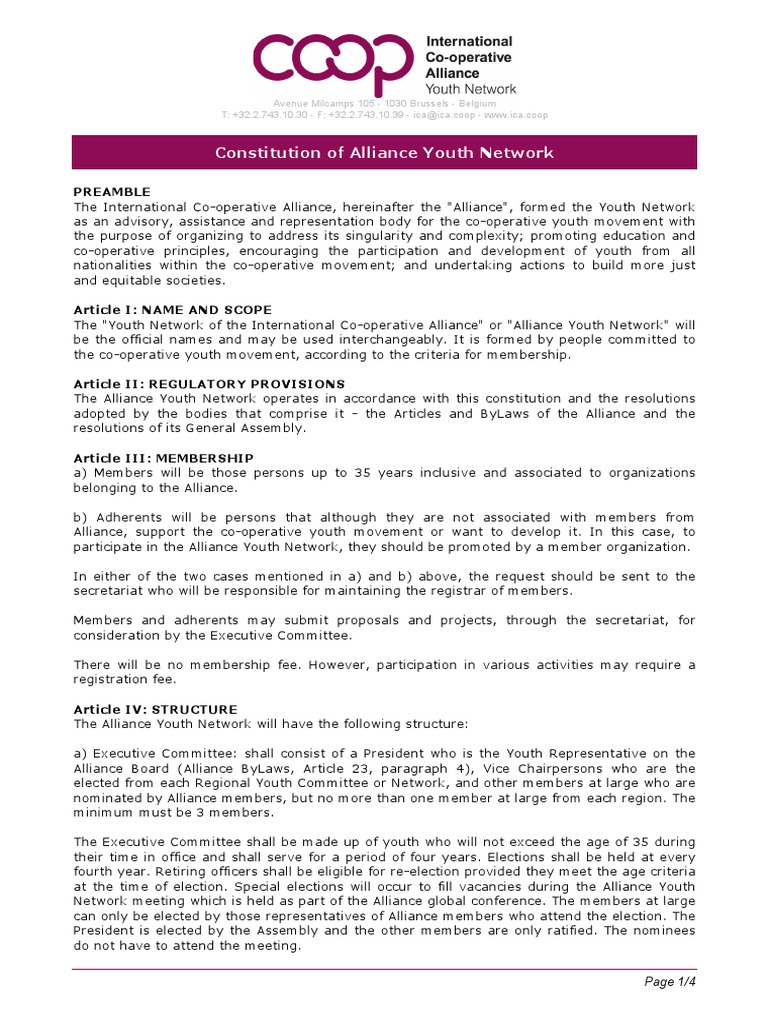 Constitution of Alliance Youth Network: Preamble | PDF | Committee ...