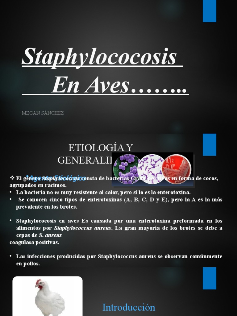 Staphylococosis en aves: agente causal, epidemiología, signos clínicos ...