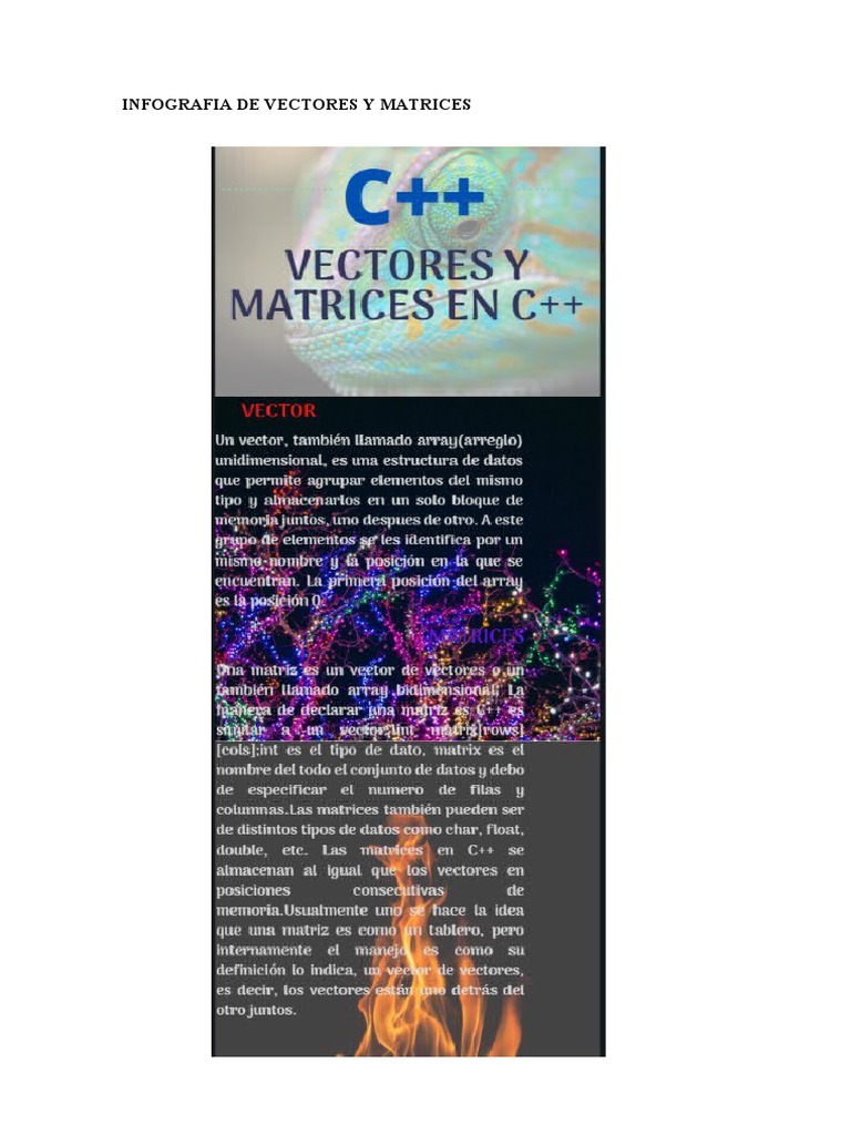 Infografia de Vectores y Matrices | PDF