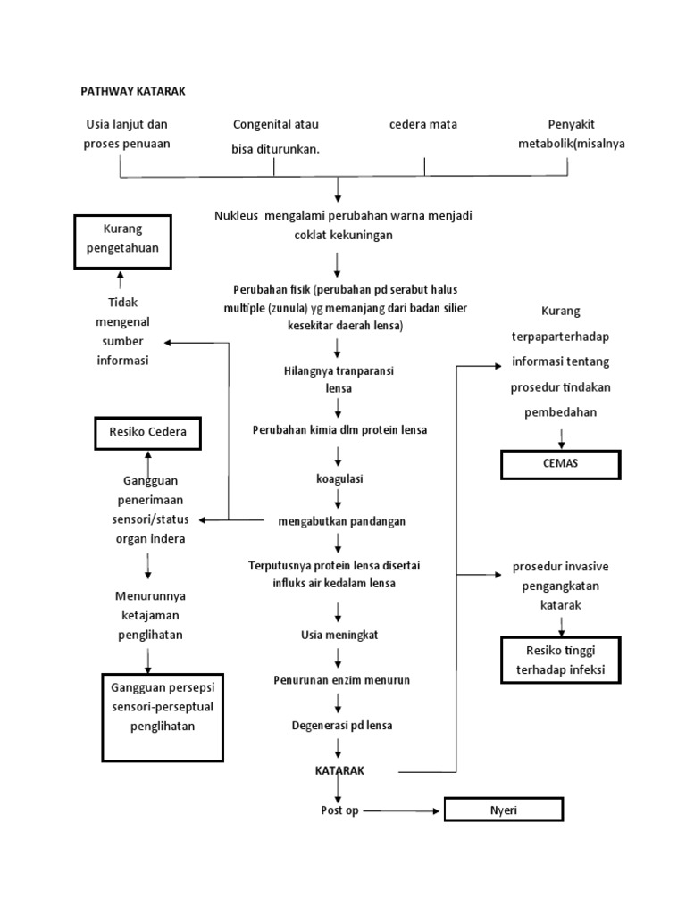WOC Katarak & Manifestasi Klinis Katarak | PDF