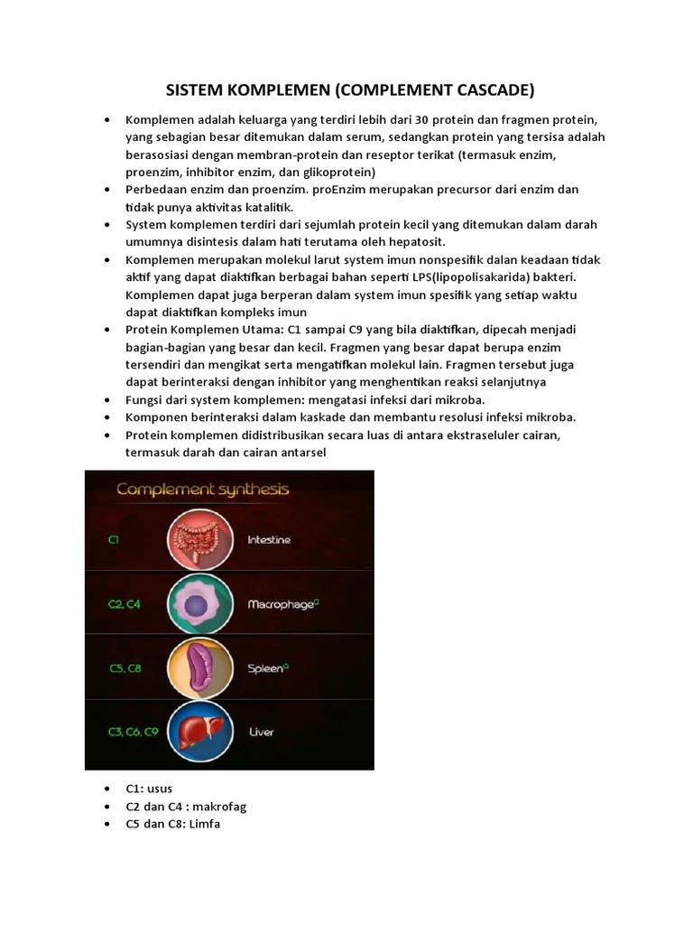 Sistem Komplemen: Aktivasi dan Fungsi | PDF