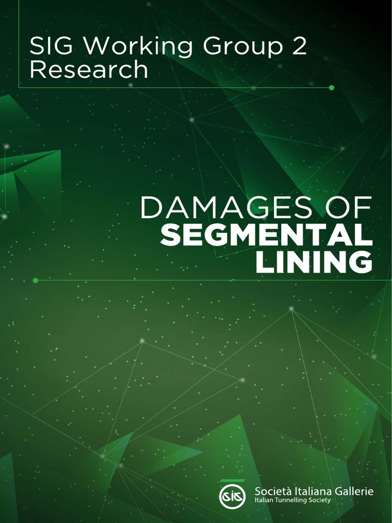 SIG WG2 Research Report 1 Damages of Segmental Lining 2019 | PDF ...