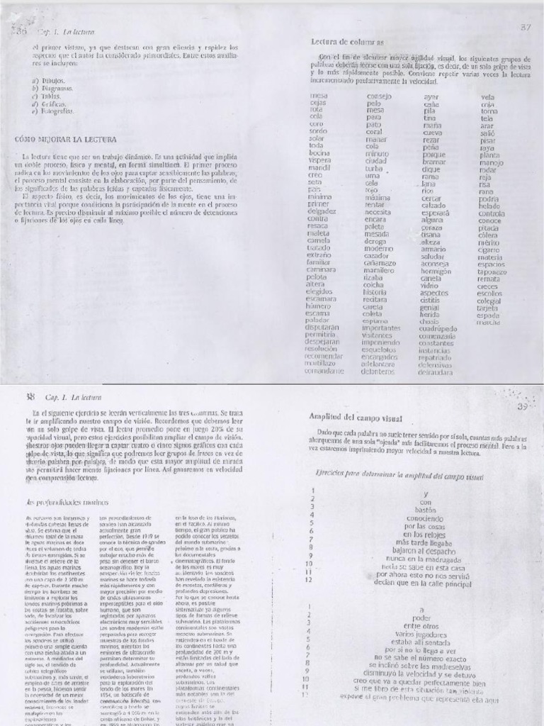 Lectura Fijaciones PDF | PDF