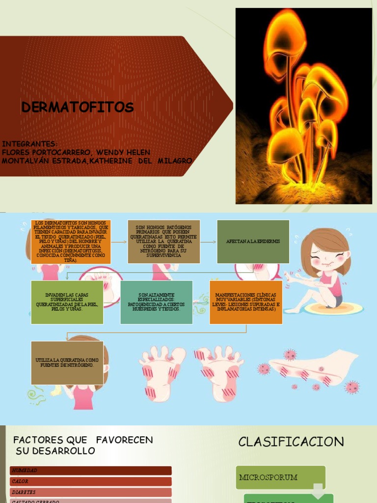 Dermatofitos MAÑANA | PDF | Inmunología | Enfermedades animales