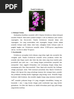 Anggrek Mekar Pontianak | PDF