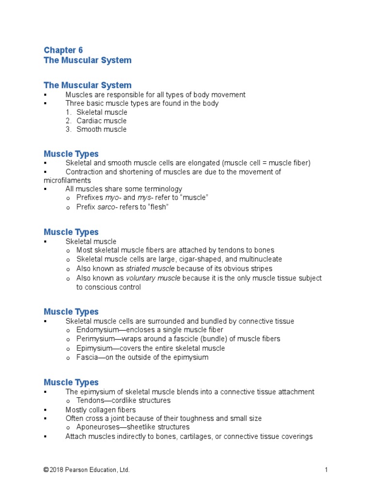 The Muscular System The Muscular System: © 2018 Pearson Education, Ltd ...