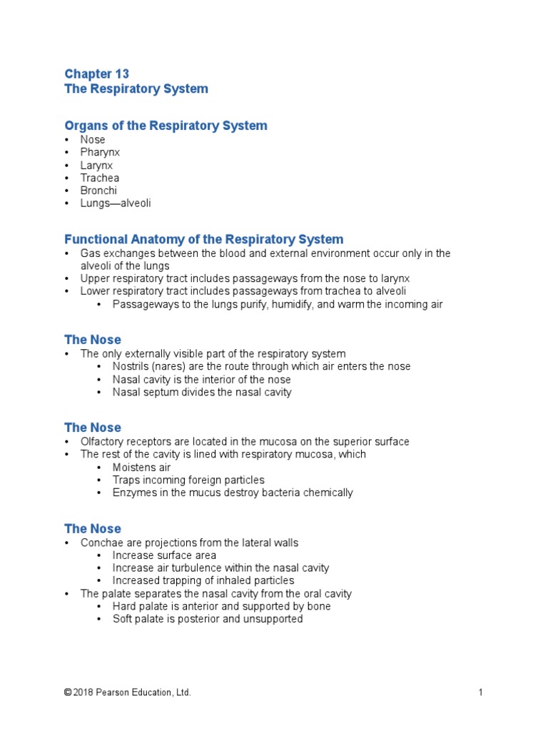 The Respiratory System Organs of The Respiratory System: © 2018 Pearson ...
