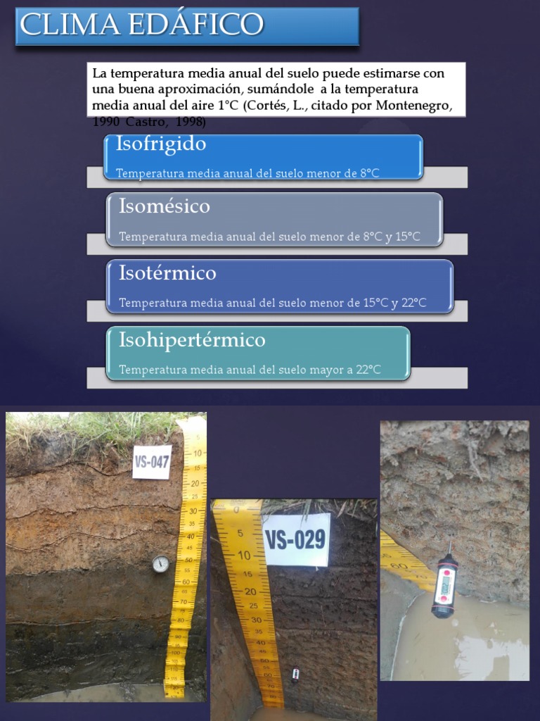 Clima Edáfico | PDF | Humedad | Suelo