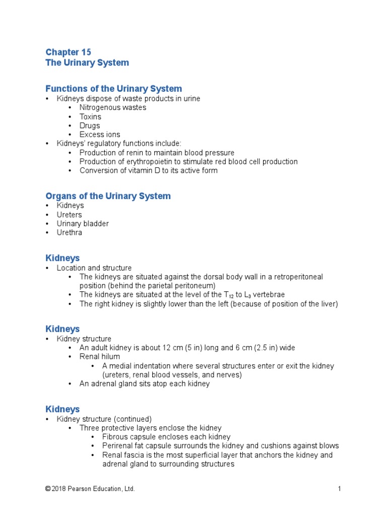 The Urinary System Functions of The Urinary System: © 2018 Pearson ...