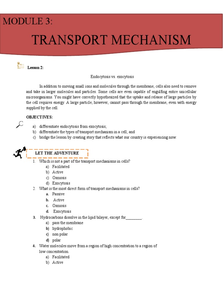 M3L3 | PDF | Cell Membrane | Cell (Biology)