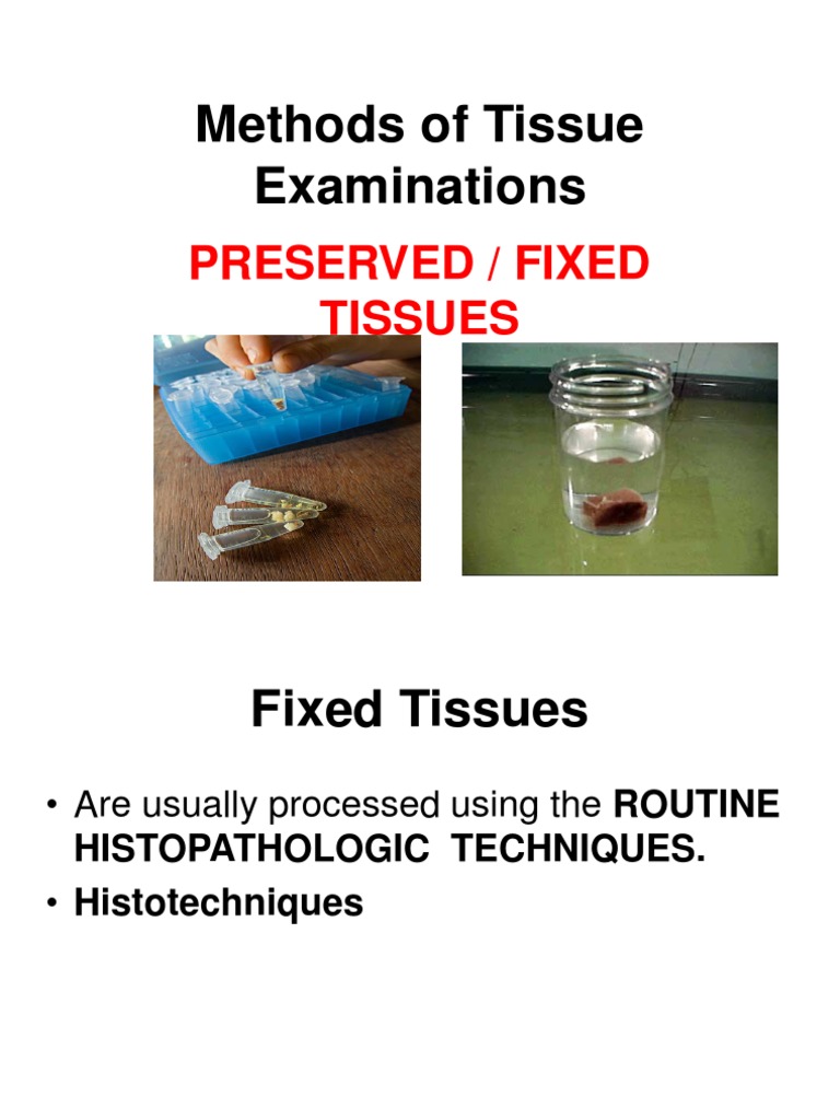 Methods of Tissue Examinations: Preserved / Fixed Tissues | PDF ...