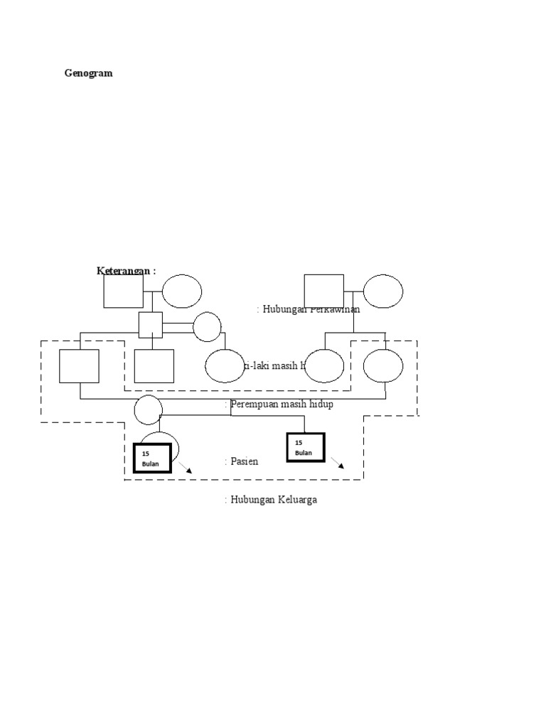 Genogram Anak | PDF