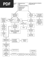 Concept Map of Copd: Chronic Obstructive Pulmonary Disease | PDF ...