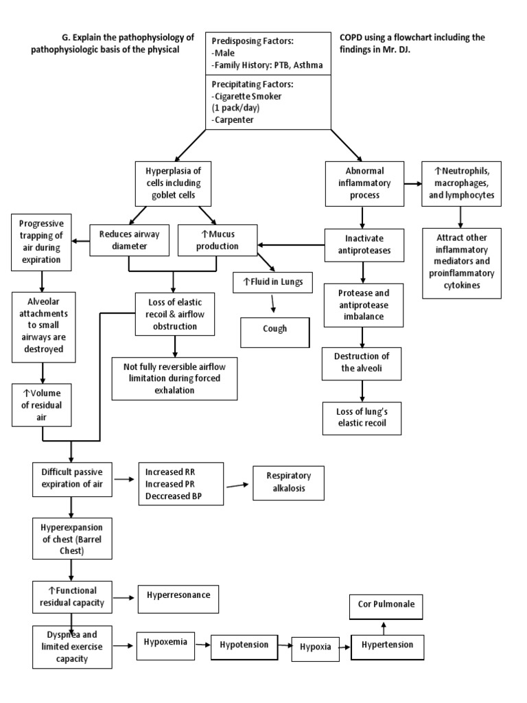 COPD Pathophysiology | PDF | Exhalation | Respiratory Tract