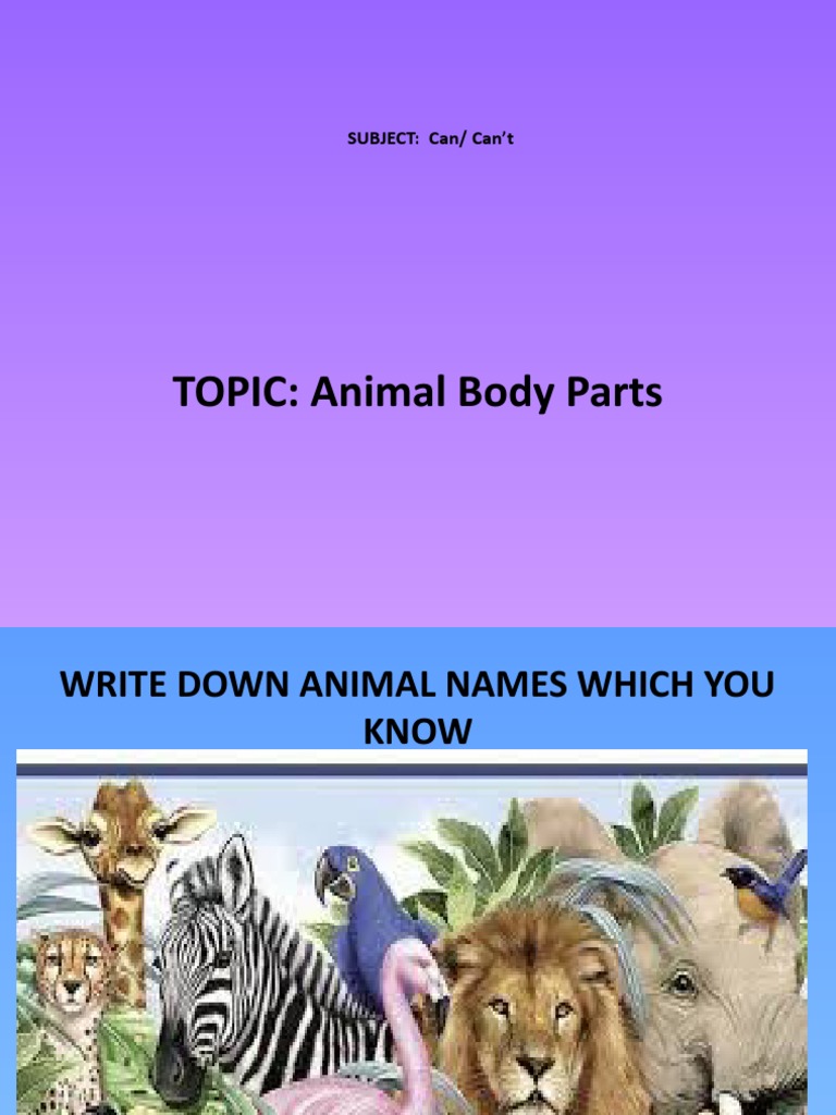 Animal Abilities and Body Parts | PDF