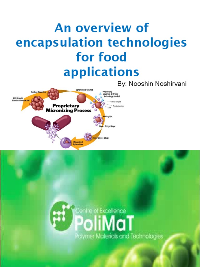 An Overview of Encapsulation Technologies For Food Applications | PDF ...
