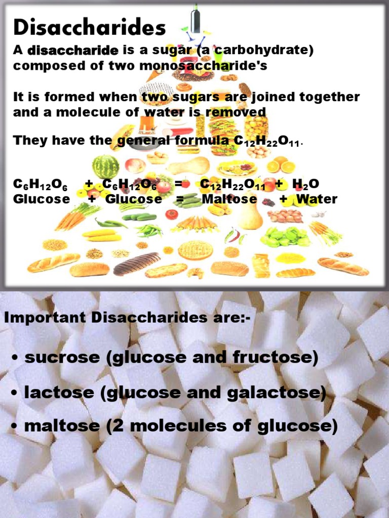 Disaccharides: Types and Food Sources | PDF | Starch | Glucose