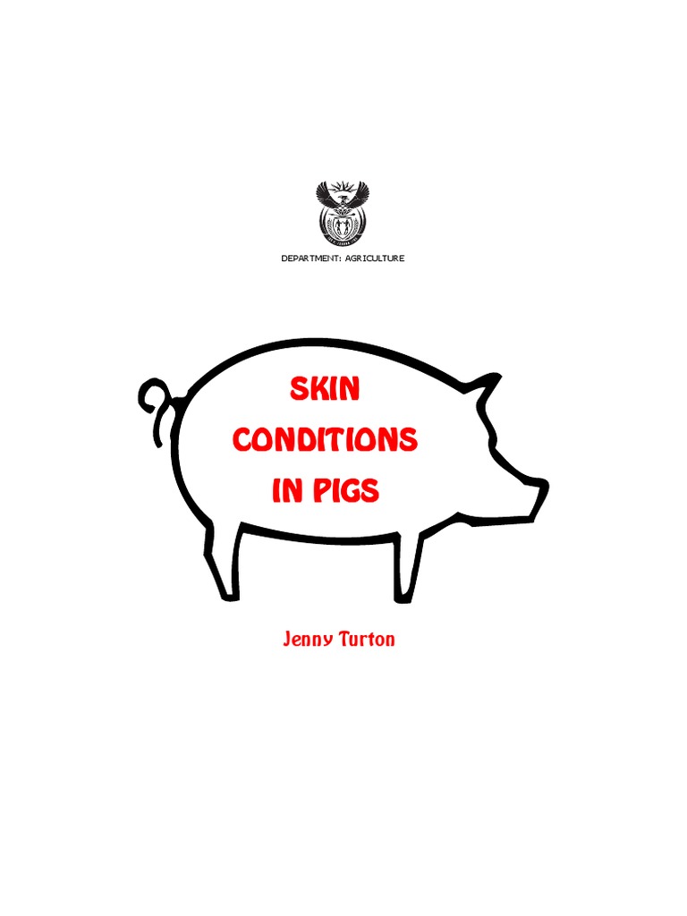 Skin Skin Skin Skin Skin Conditions Conditions Conditions Conditions ...