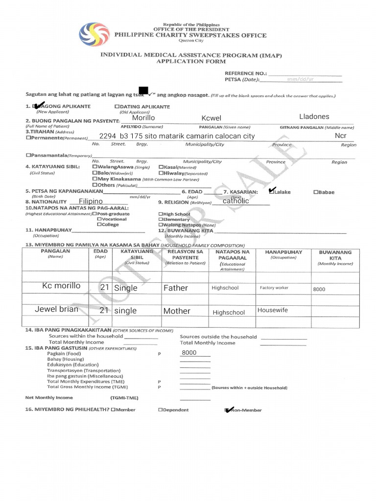 Extract - Updated IMAP Form 2015 PDF | PDF