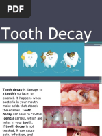 Class 4 Teeth and Their Structure Worksheet | PDF | Tooth | Tooth Enamel
