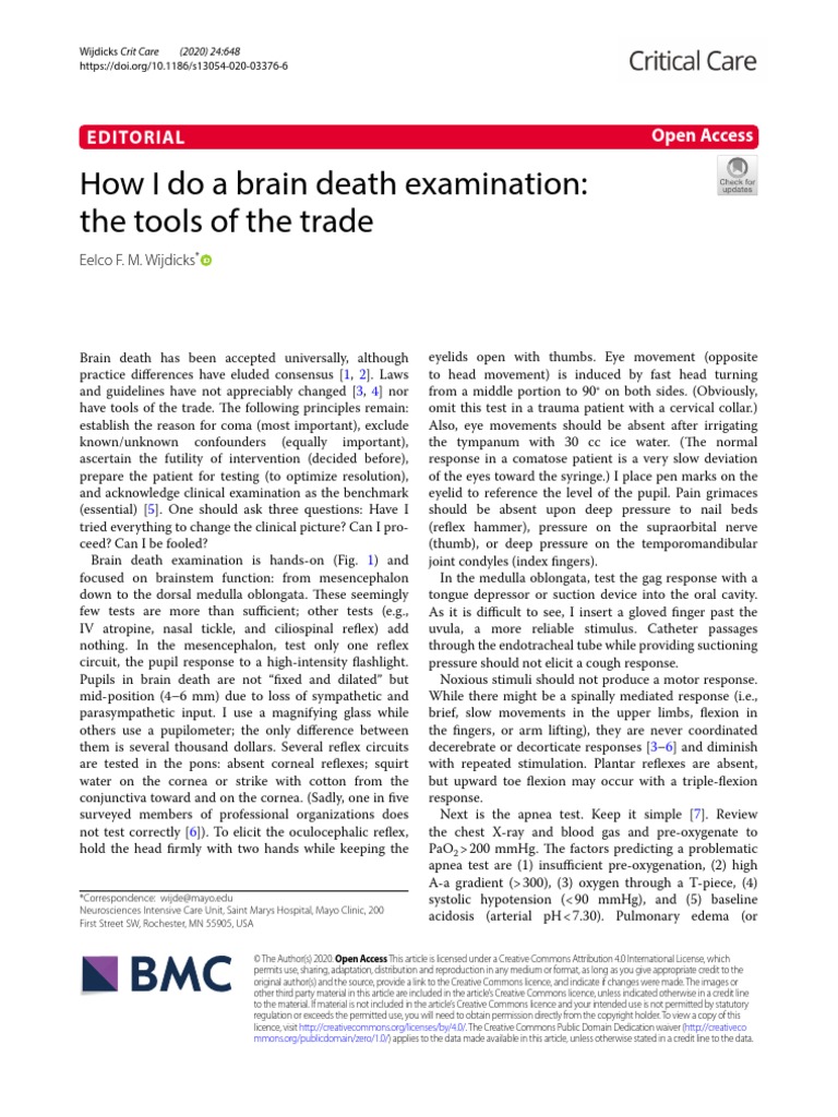 Balance Hemodinamico | PDF | Coma | Brainstem