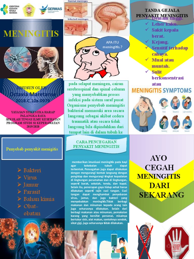 Leaflet Meningitis Octavia M | PDF