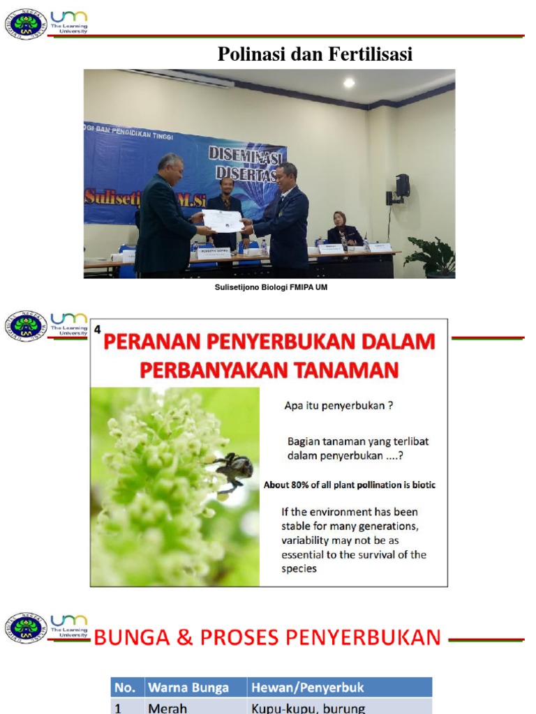 Proses Polinasi dan Fertilisasi | PDF | Sains & Matematika