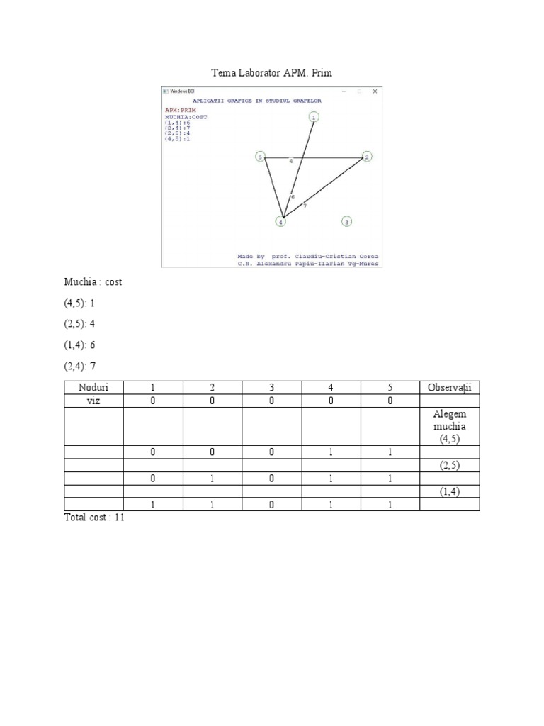 Tema Laborator APM. Prim | PDF