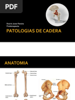 Articulación Coxofemoral | PDF | Rodilla | Anatomía