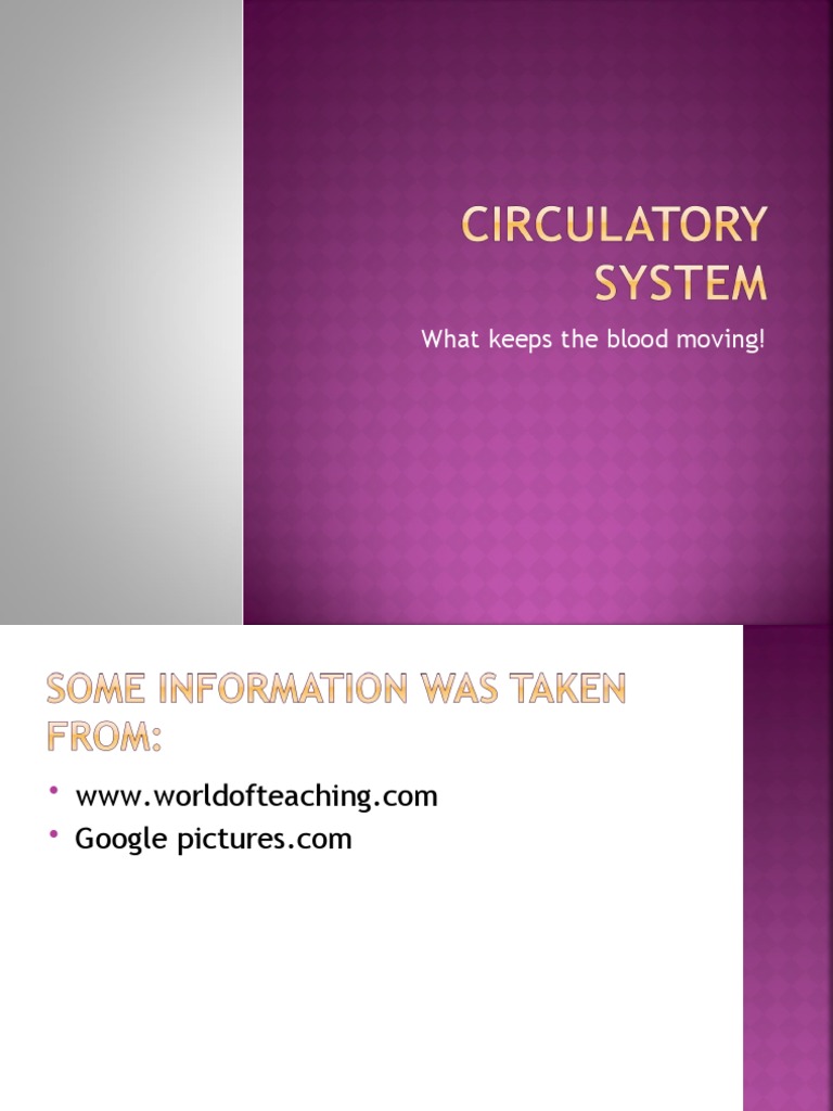 4th Class Circulatory System | PDF | Circulatory System | Blood
