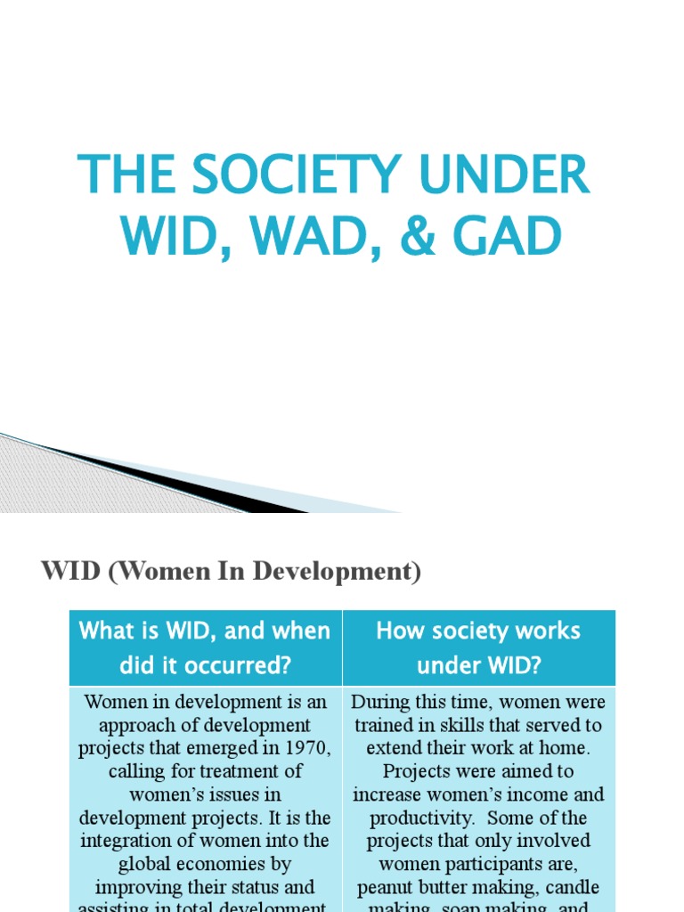 Evolution of Gender Development Approaches | PDF | Career & Growth ...