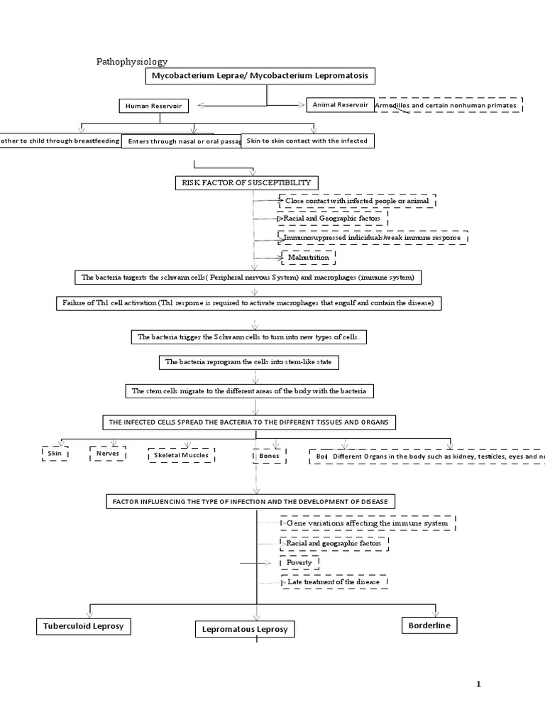 Pathophysiology: Mycobacterium Leprae/ Mycobacterium Lepromatosis | PDF | Leprosy | Anatomy
