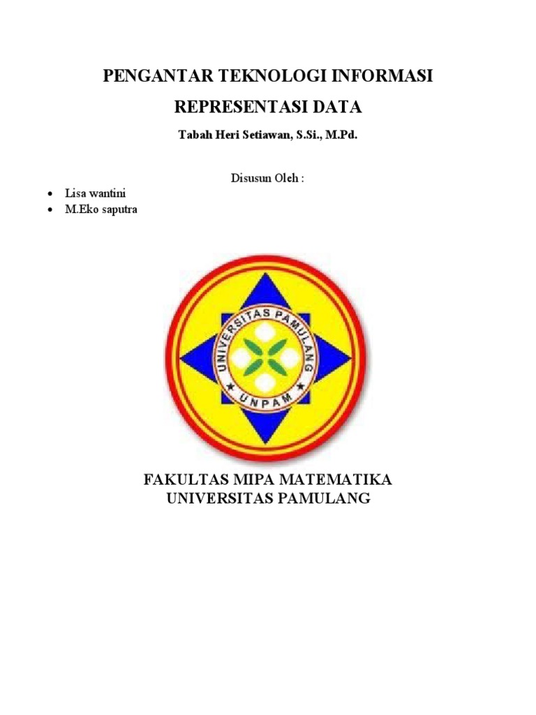 Representasi Data | PDF