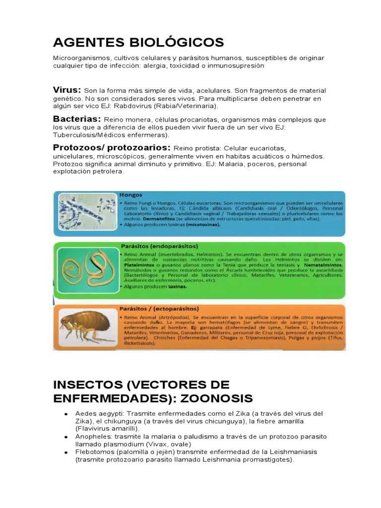 Agentes Biológicos | PDF | Protozoos | Virus