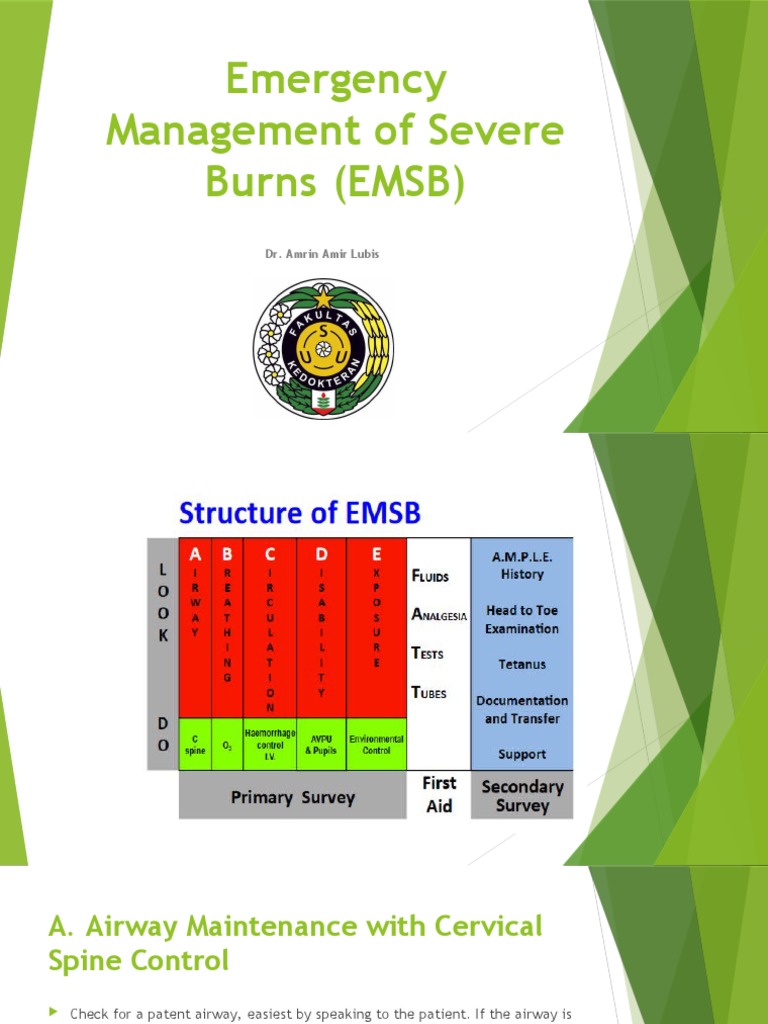 Emergency Management of Severe Burns (EMSB) : Dr. Amrin Amir Lubis ...