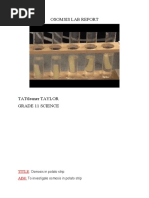 Lab 2 CXC Bio | PDF | Soil