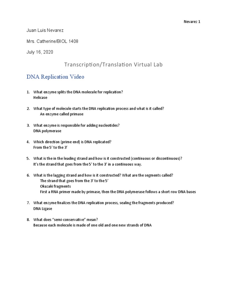 Transcription and Translation Virtual Lab | PDF | Dna Replication | Rna