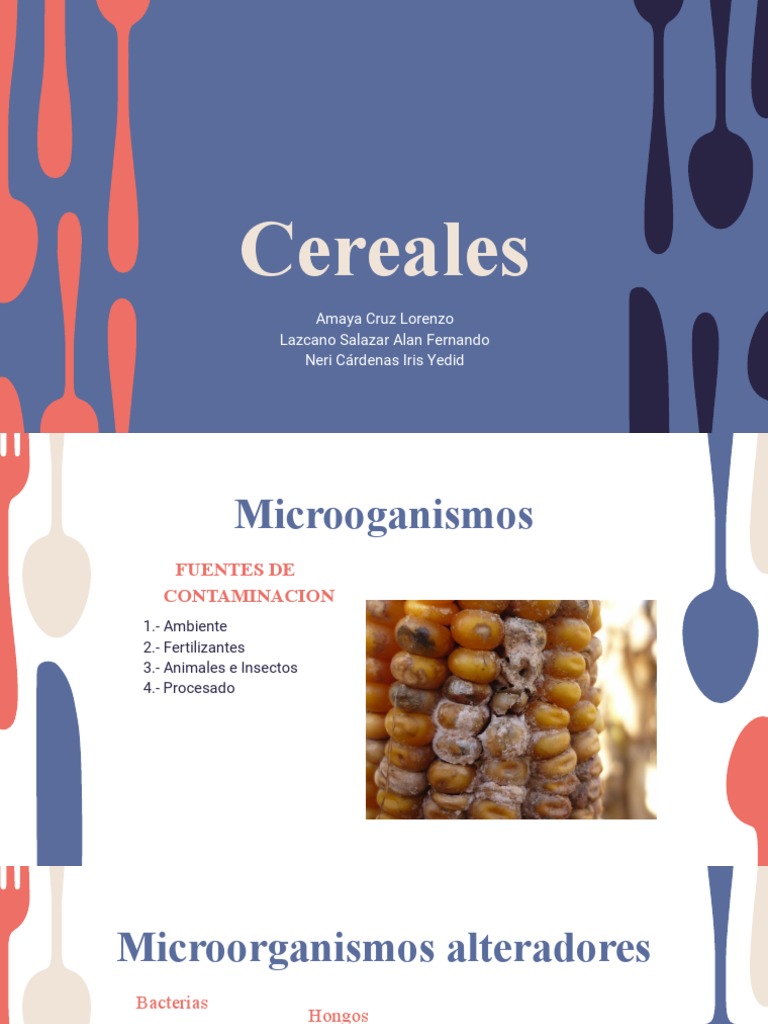 Microorganismos que contaminan los cereales y sus efectos | PDF | Micotoxinas | Cereales