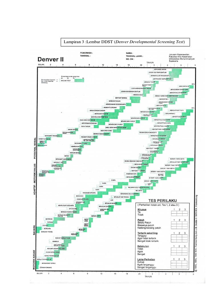 Lampiran 3:lembar DDST (Denver Developmental Screening Test) | PDF