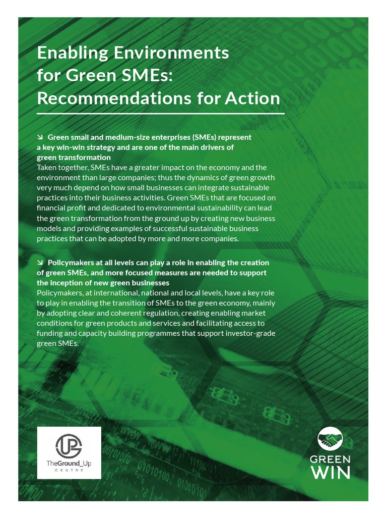 Enabling Environments For Green SMEs | PDF | Sustainable Business ...