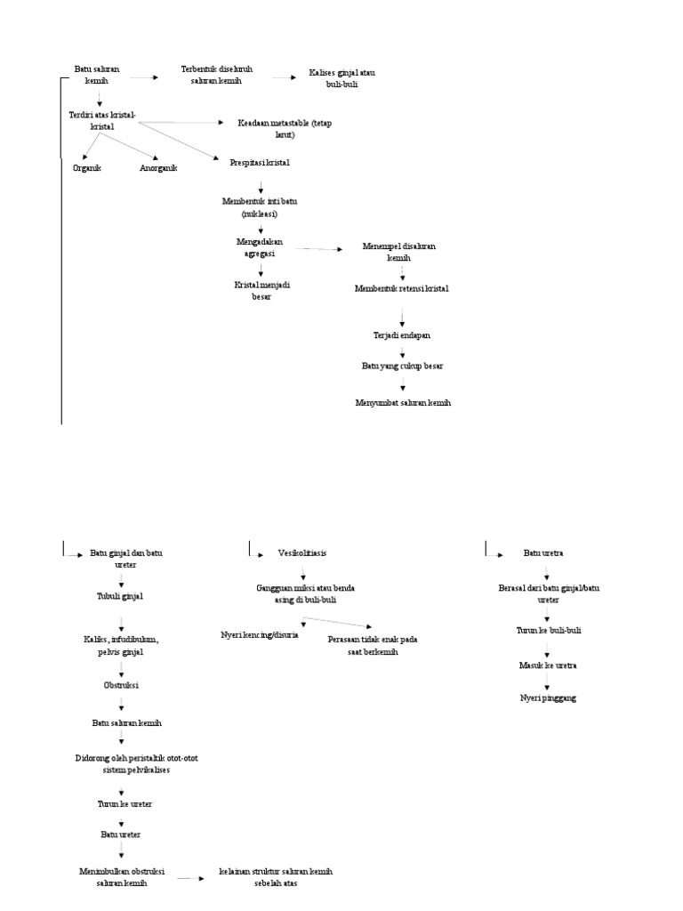 Pathway Batu Saluran Kemih | PDF