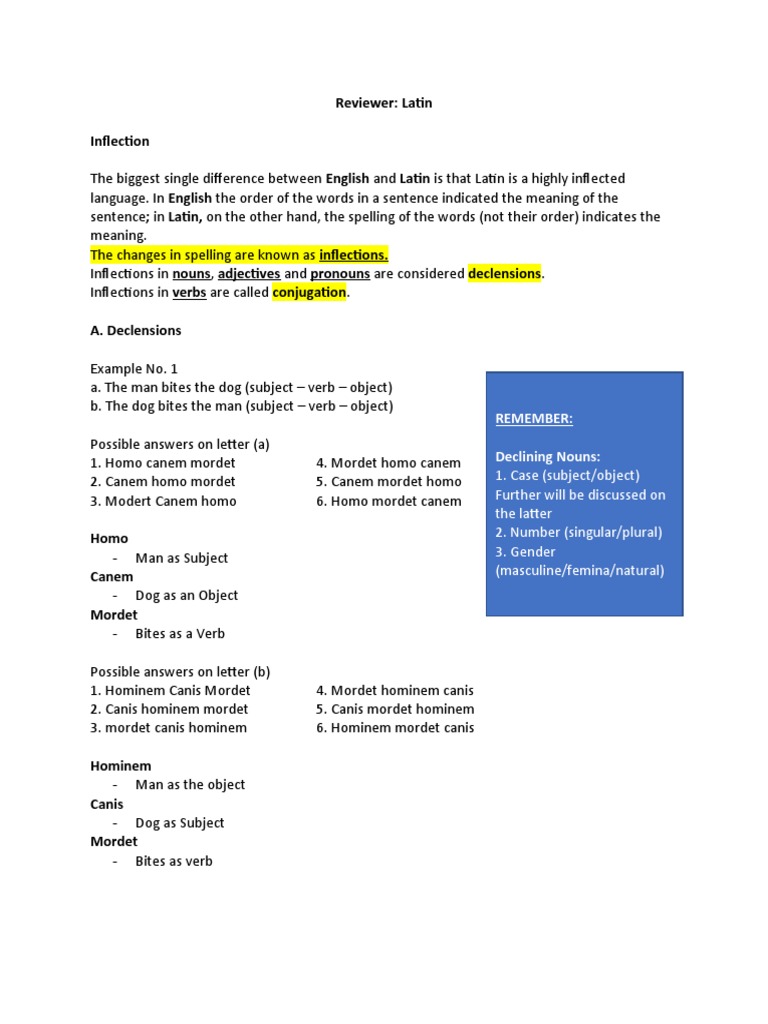 Reviewer: Latin Inflection: Remember: Declining Nouns | PDF | Verb ...