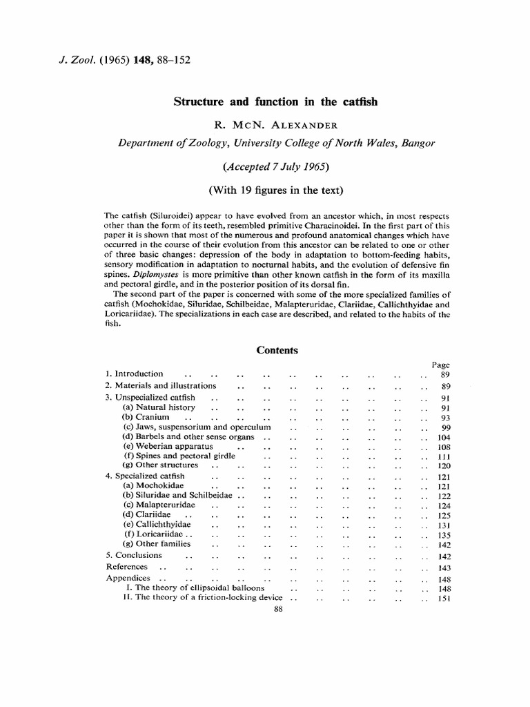 Catfish Evolution and Anatomy | PDF | Skull | Anatomical Terms Of Location