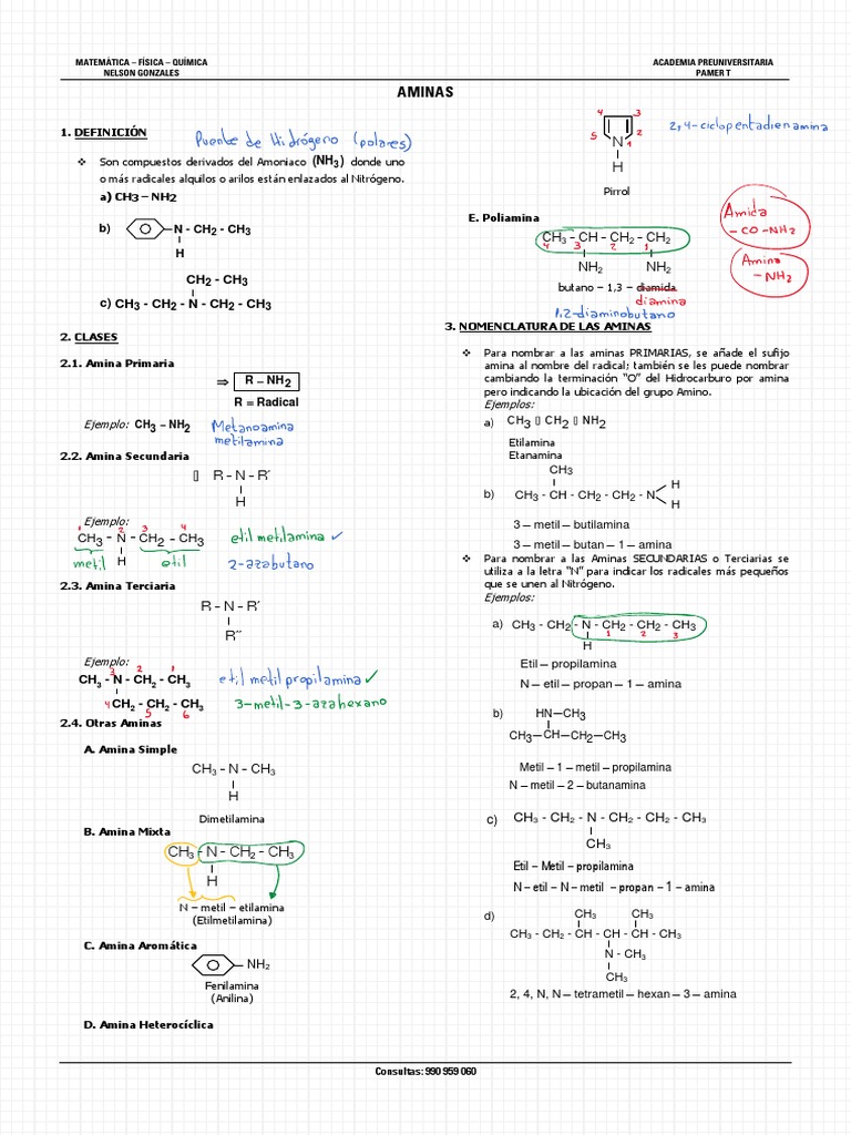 Aminas Resuelto | PDF | Amina | Moléculas