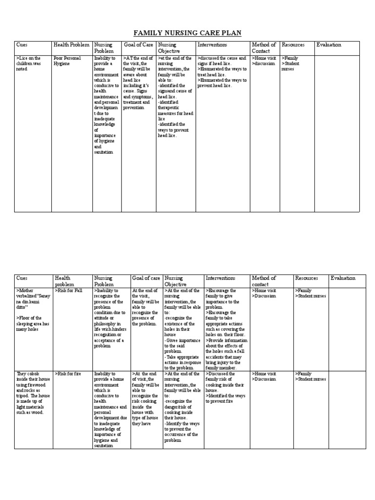 Family Nursing Care Plan | PDF | Hygiene | Nursing