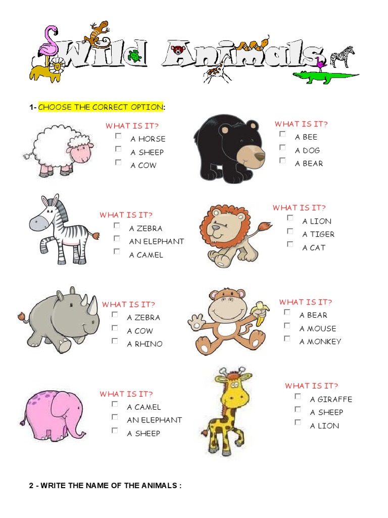 Animal Identification Quiz | PDF